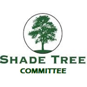 Shade Tree